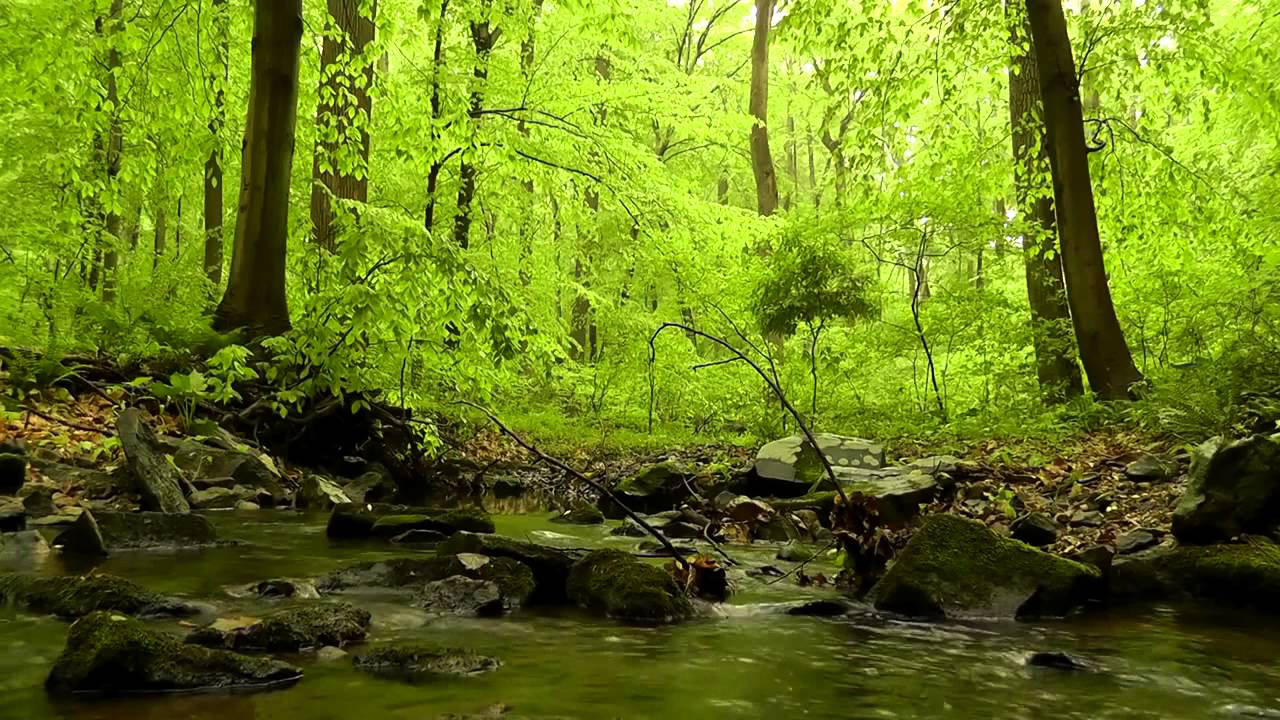 Ruhun Gıdası Doğada Gizli | Karma Türkiye